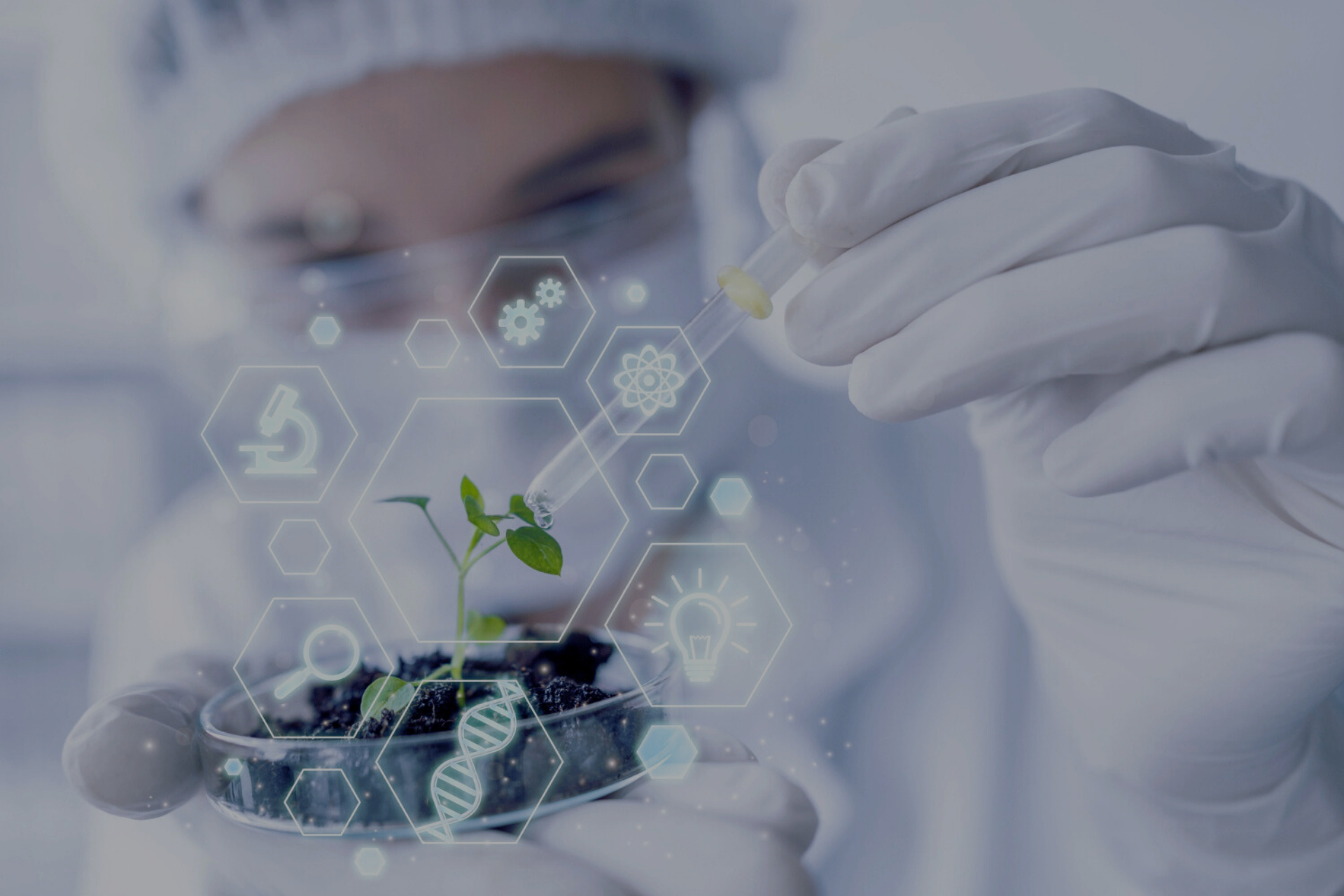 Driving Europe's Sustainable Future: The Bio-based Industries ...