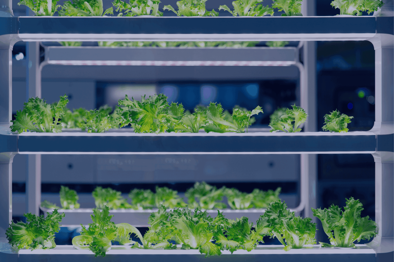 Uniting Innovation and Investment in the Bio-based Industries - TechTour