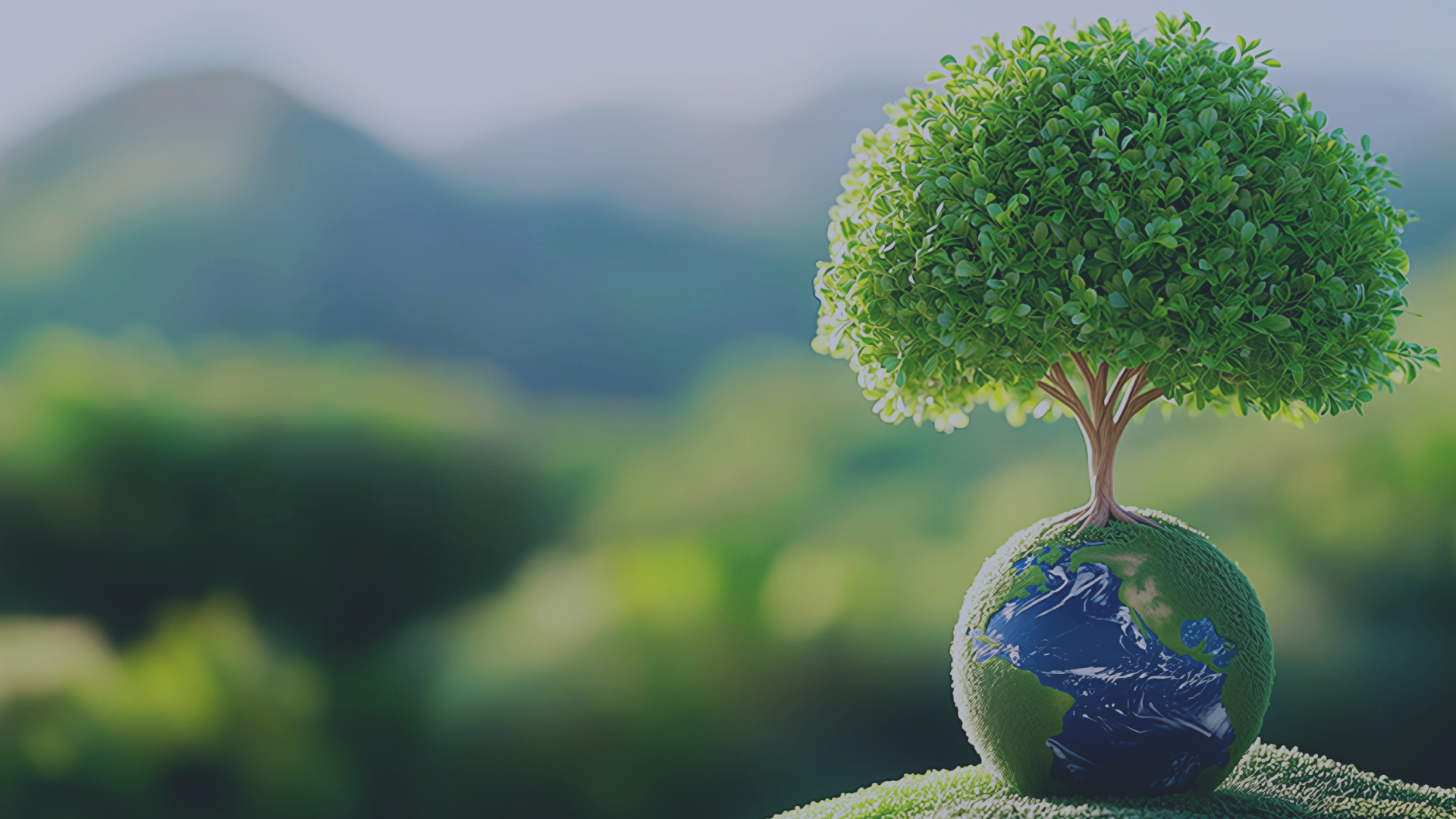 Events 2025 - TechTour